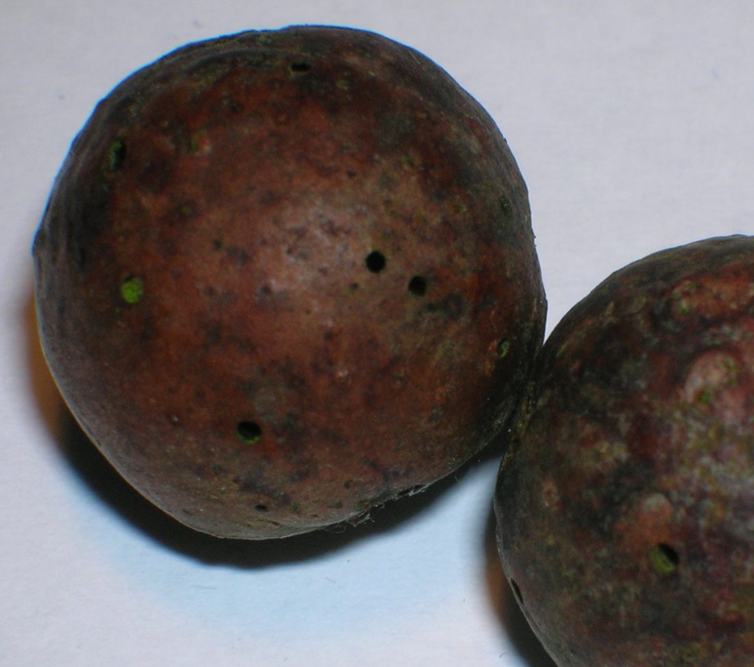 Oak Gall Ink - Fantasy Decorating